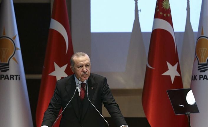 Almanya'dan Türkiye raporu: Kurumlar felce uğratıldı, meclis zayıfladı ...